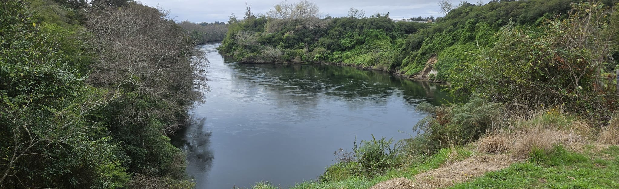 Te Awa River Walk: Cambridge to the Velodrome, Waikato, New Zealand ...