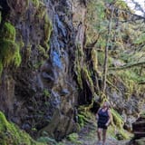 Shady Lane Trail, Washington - 161 Reviews, Map | AllTrails