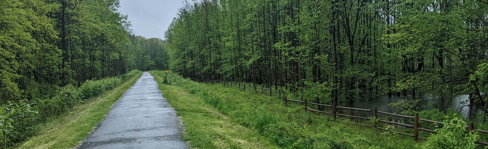 Lenape Trail : 361 Reviews, Map - New Jersey | AllTrails