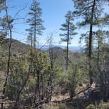 Thumb Butte Loop, Arizona - 56 Reviews, Map | AllTrails
