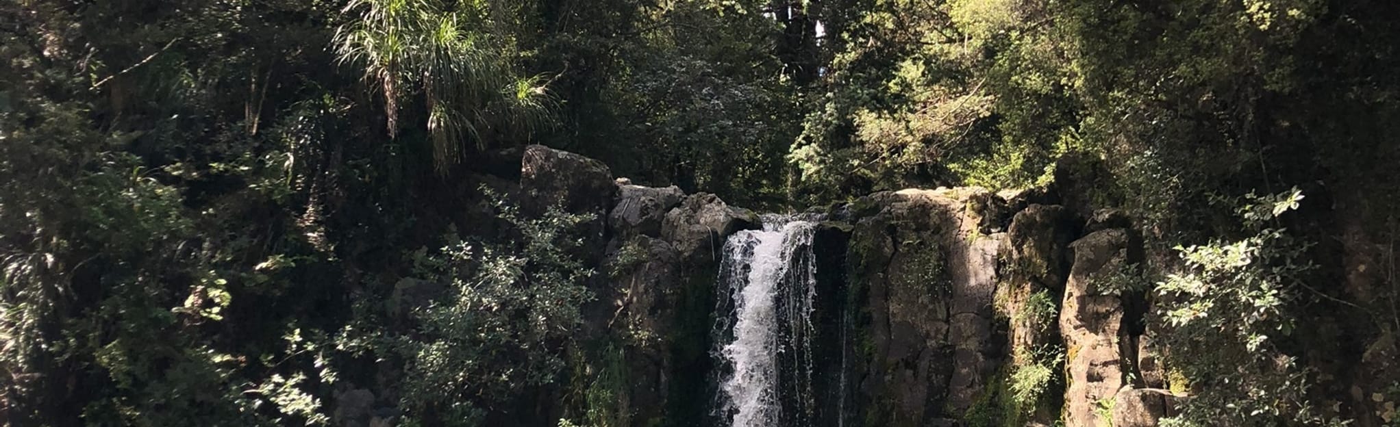 Waiau Falls Walk, Waikato, New Zealand - 18 Reviews, Map | AllTrails