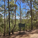 Mount Cootha to Enoggera reservoir, Queensland, Australia - 64 Reviews ...