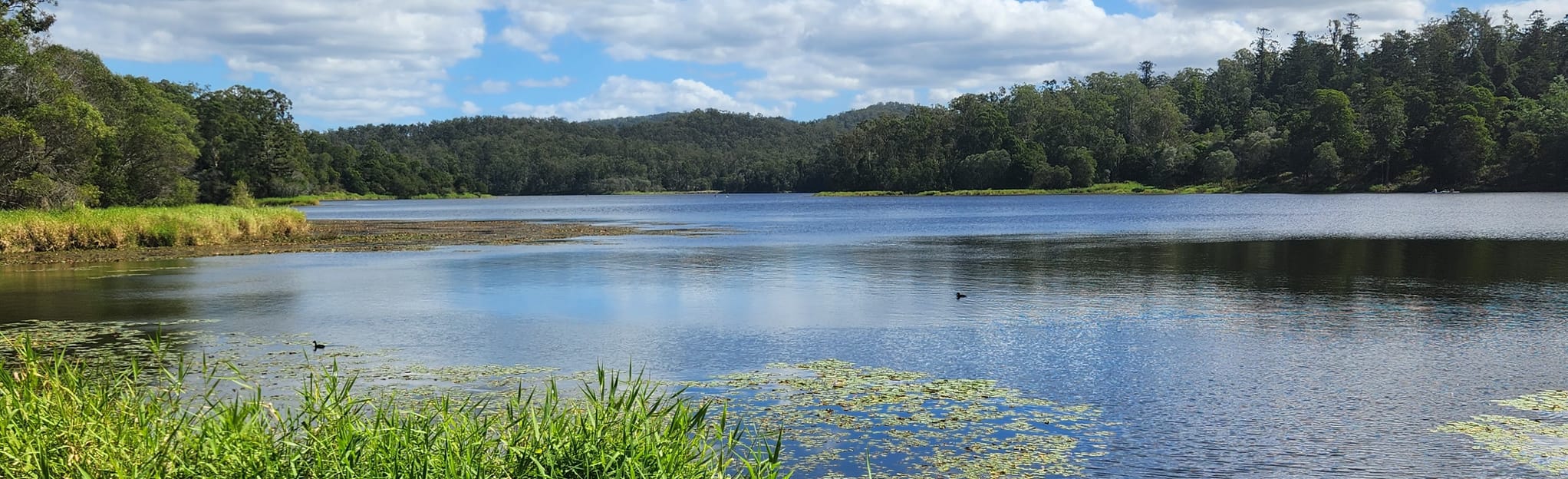 Mount Cootha to Enoggera reservoir, Queensland, Australia - 62 Reviews ...