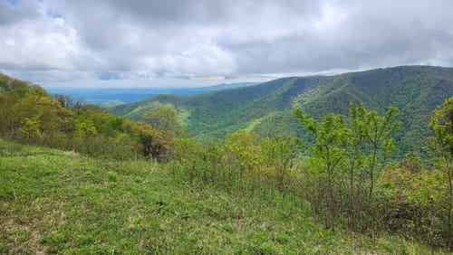 Best Hikes and Trails in Floyd | AllTrails