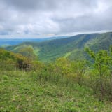 Black Ridge Trail, Virginia - 548 Reviews, Map | AllTrails