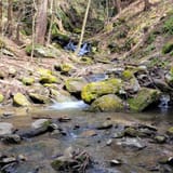 Stevens Glen Trail, Massachusetts - 370 Reviews, Map | AllTrails