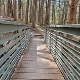 Stevens Glen Trail, Massachusetts - 370 Reviews, Map | AllTrails