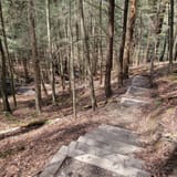 Stevens Glen Trail, Massachusetts - 370 Reviews, Map | AllTrails