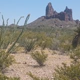 Mule Ear Spring, Texas - 399 Reviews, Map | AllTrails