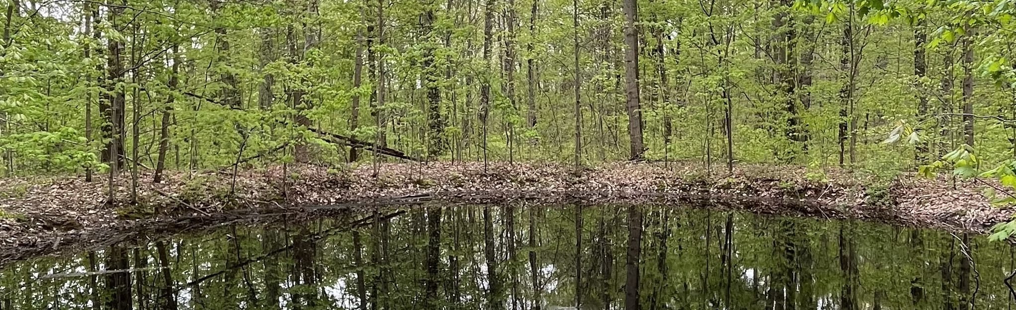 Low Gap Trail : 1120 Reviews, Map - Indiana | AllTrails