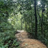 Bukit Serdang Trail, Selangor, Malaysia - 262 Reviews, Map | AllTrails