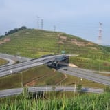 Bukit Serdang Trail, Selangor, Malaysia - 262 Reviews, Map | AllTrails