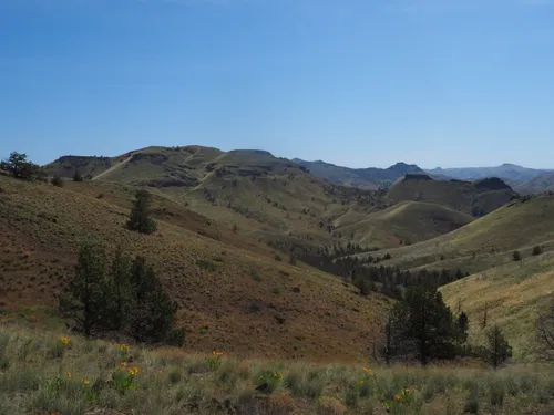 Best Hikes and Trails in Spring Basin Wilderness | AllTrails