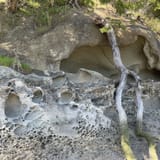 Clark’s Point and Chuckanut Bay, Washington - 71 Reviews, Map | AllTrails