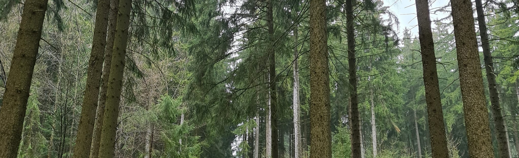 AllTrails | Runde um Thum: 0 Reviews, Map - Saxony, Germany