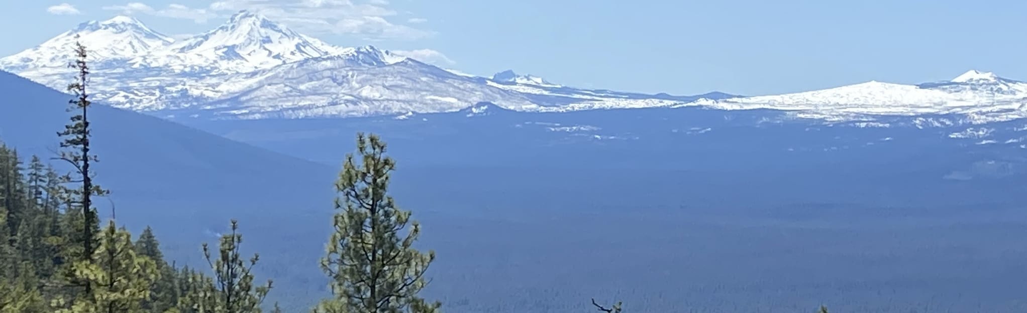 Green Ridge Trail to Green Ridge Lookout, Oregon - 4 Reviews, Map ...