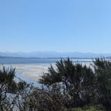 Bayocean Peninsula, Oregon - 631 Reviews, Map | AllTrails