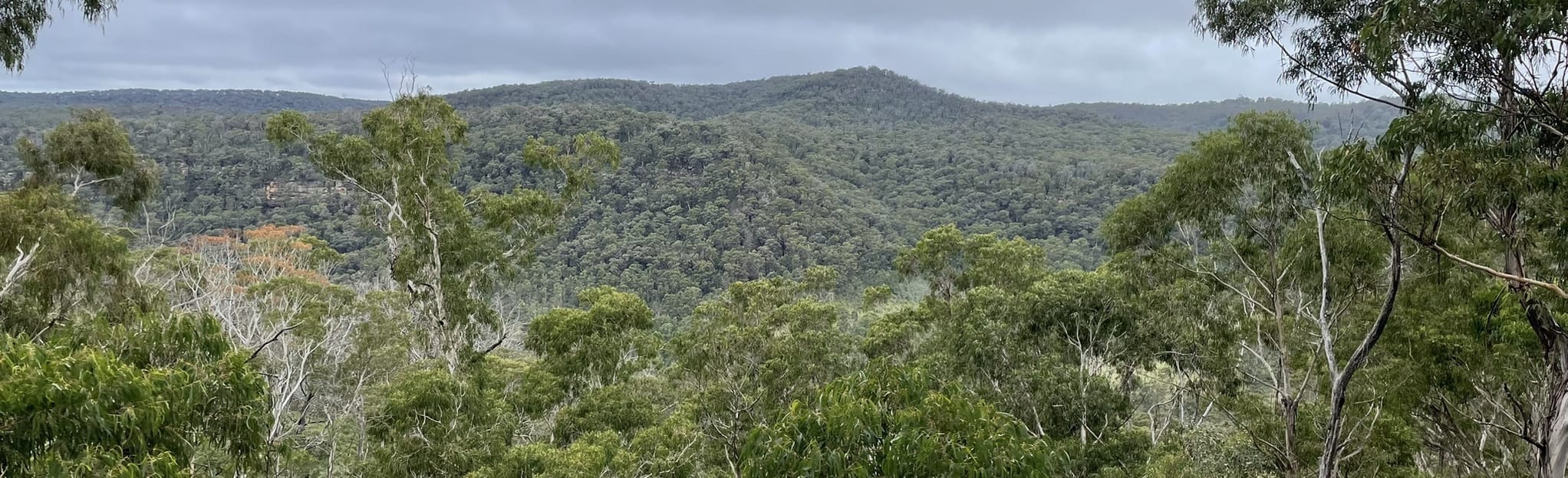 Mount Jellore Summit, New South Wales, Australia - 84 Reviews, Map ...