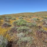North Loop, Antelope Butte and Lightning Bolt Loop, California - 490 ...