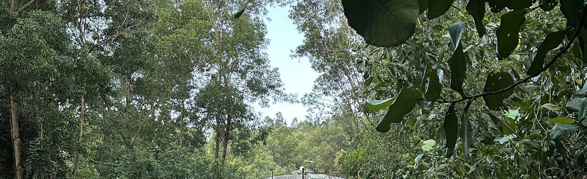 Bukit Besi Loop: 555 Reviews, Map - Kuala Lumpur, Malaysia | AllTrails