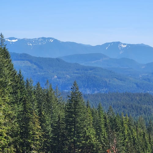 Best Hikes and Trails in Woodlot 007 Park | AllTrails