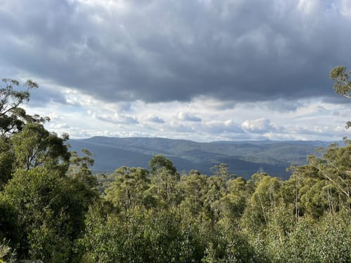 2023 Best 10 Views Trails in Bunyip State Park | AllTrails
