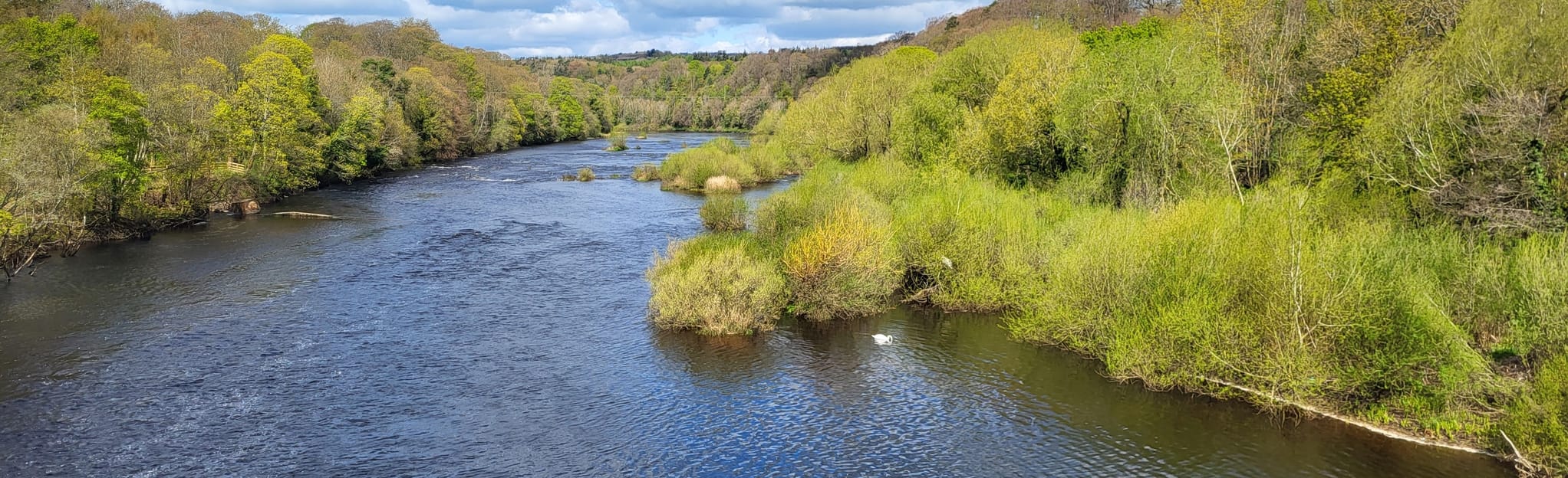 Prudhoe to Newburn, Northumberland, England - 32 Reviews, Map | AllTrails