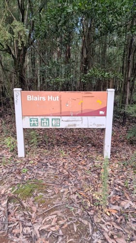 Best Hikes and Trails in Wandong Regional Park | AllTrails