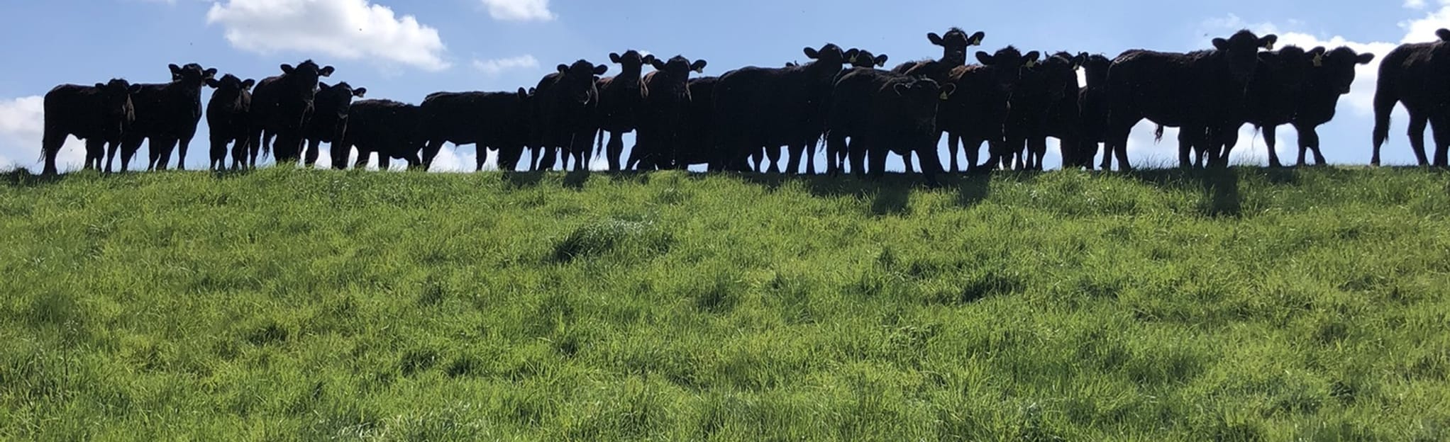 Peter Scott Walk, Norfolk, England - 11 Reviews, Map | AllTrails