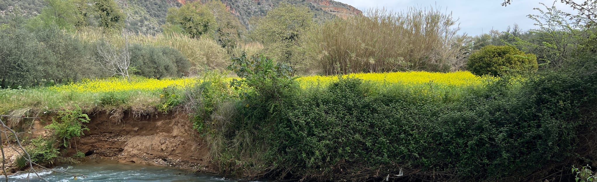 Courte promenade sur la rivière Kyliaris : 29 Photos - Crète, Grèce ...