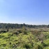 Modderfontein Dam Trail, Gauteng, South Africa - 372 Reviews, Map ...