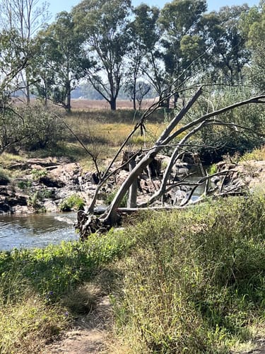 Los mejores senderos y rutas en Modderfontein Nature Reserve | AllTrails