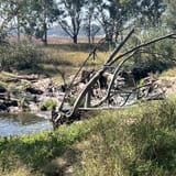 Modderfontein Dam Trail, Gauteng, South Africa - 372 Reviews, Map ...