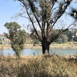 Modderfontein Dam Trail, Gauteng, South Africa - 372 Reviews, Map ...