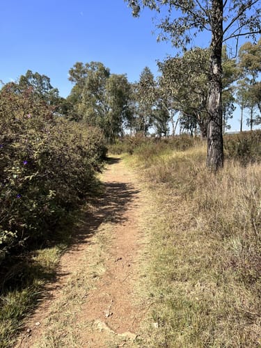Best Hikes and Trails in Modderfontein Nature Reserve | AllTrails