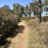 Modderfontein Dam Trail, Gauteng, South Africa - 372 Reviews, Map ...