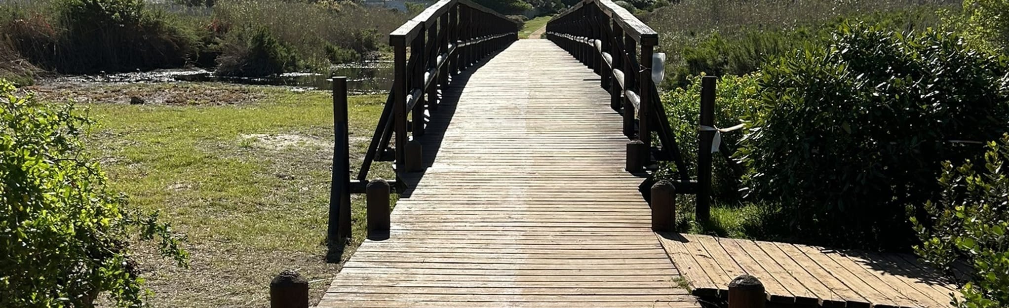 Clovelly River Loop, Western Cape, South Africa - 62 Reviews, Map ...