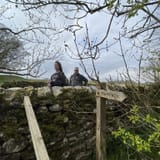 Grinton, Reeth Swing Bridge and Reeth Circular, North Yorkshire ...