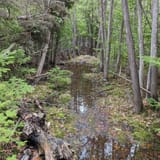 Onaway State Park Loop, Michigan - 53 Reviews, Map | AllTrails