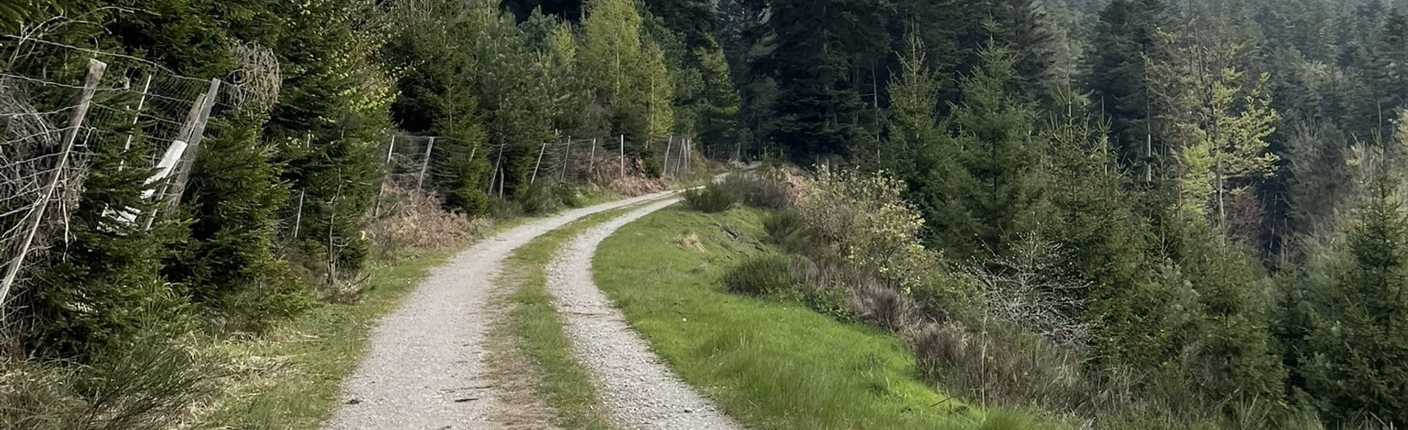 Circuit du Geissfels et Rocher de Hibou: 5 Reviews, Map - Bas-Rhin ...