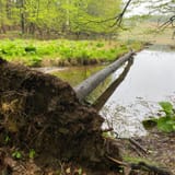 Muddy Run Lakeshore Trail, Pennsylvania - 358 Reviews, Map | AllTrails