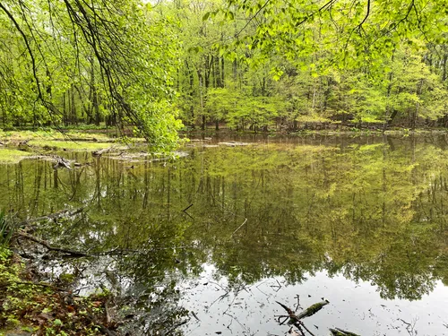 Best Hikes and Trails in Muddy Run Park | AllTrails