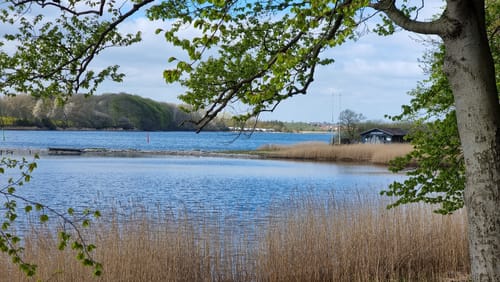 2023 Best Beach Trails in Augustenborg | AllTrails