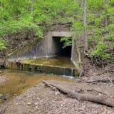 Farmdale Recreation Area Trail, Illinois - 884 Reviews, Map | AllTrails