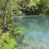 Alley Spring Overlook Trail, Missouri - 318 Reviews, Map | AllTrails