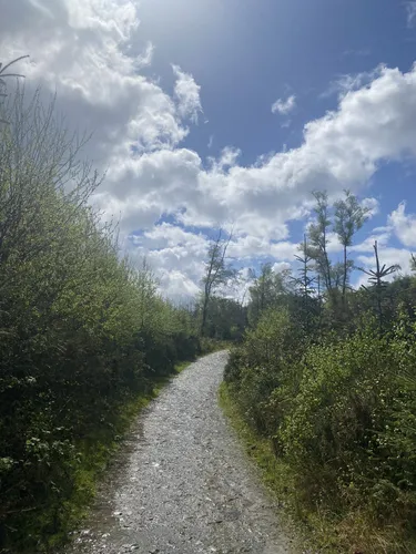 2023 Best Walking Trails in Saggart | AllTrails