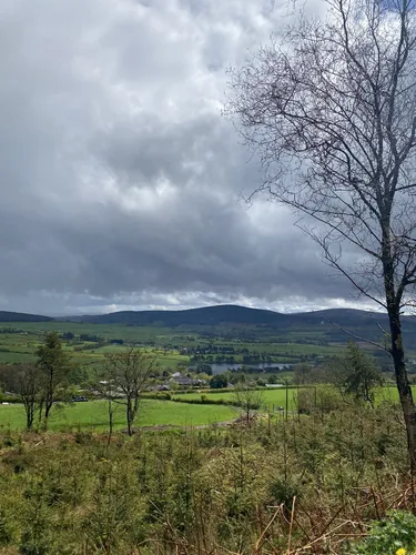 Best Hikes and Trails in Saggart Woods | AllTrails