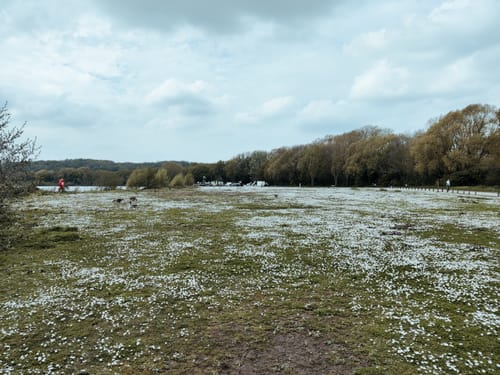 Best Hikes and Trails in Colwick Country Park | AllTrails