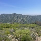 Sullivan Canyon Trail, California - 819 Reviews, Map | AllTrails
