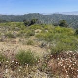Sullivan Canyon Trail, California - 819 Reviews, Map | AllTrails